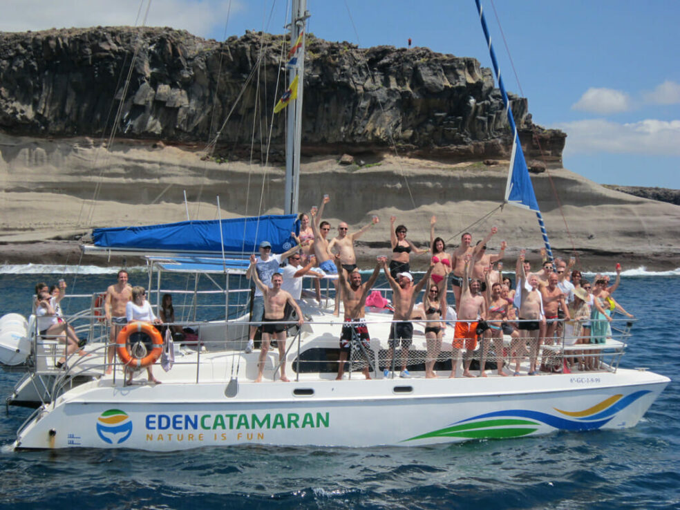 whale Watching Excursions